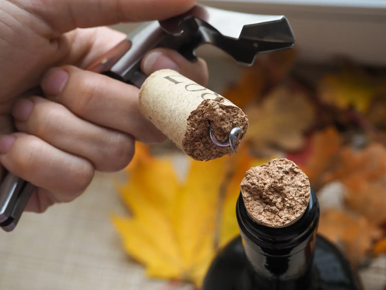 Comment reconnaître un vin bouchonné et éviter les erreurs